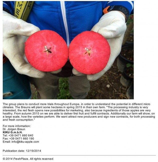 Redmoon® Surprise : Collaboration brings red flesh apples with KIKU ...